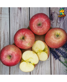 DOREMI - Your Premium Fruit Brand | Online and Offline | Grocery ...